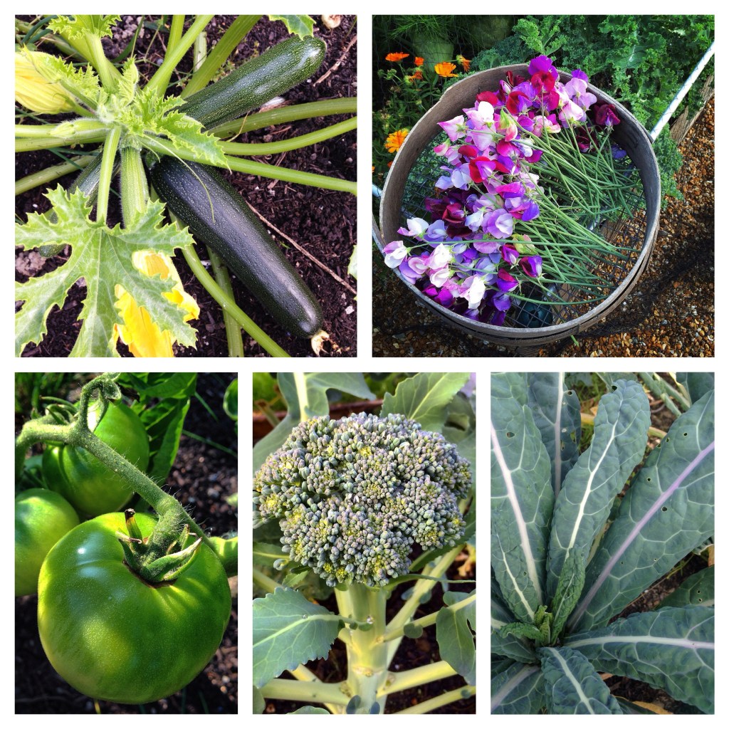 What is Biodynamic Gardening? – Homegrown Kate